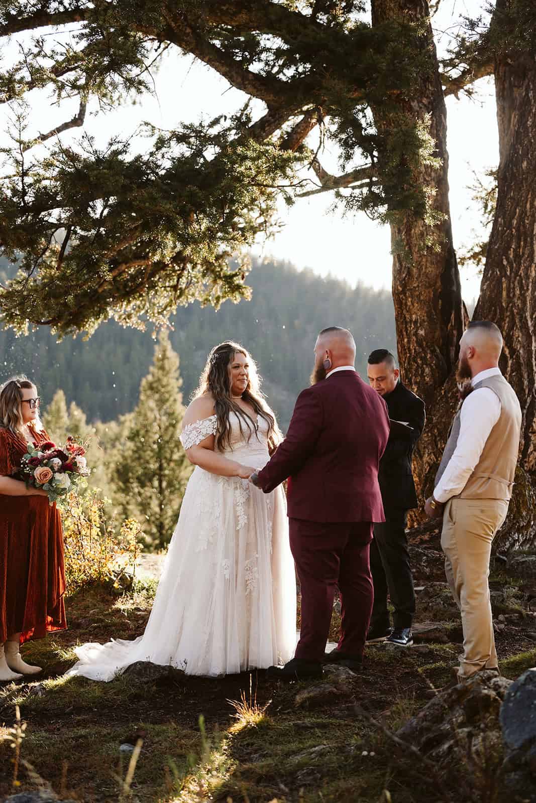 Wedding Tree in Jackson Hole In-Depth Overview